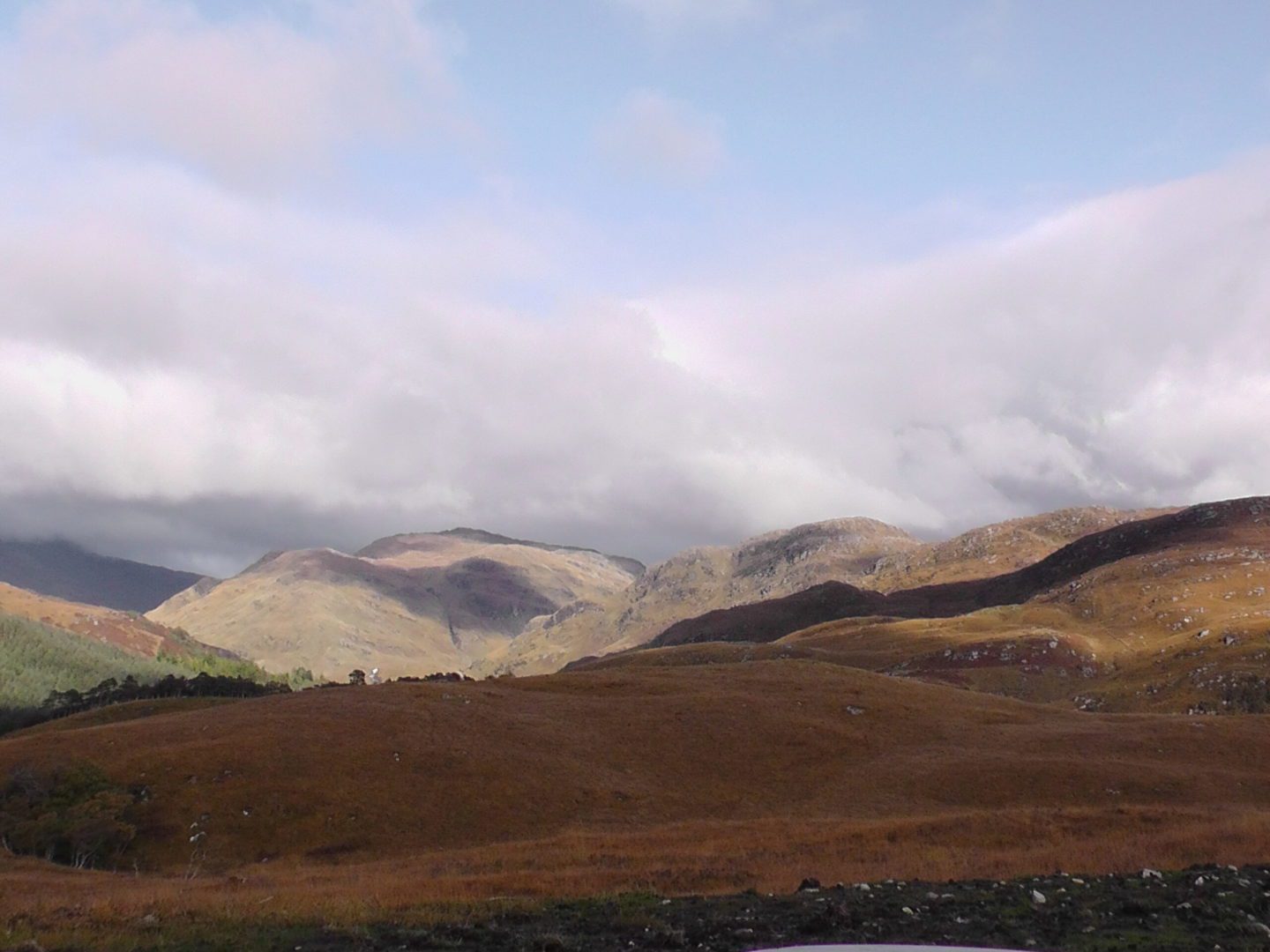 Gallery - Marino Lodge